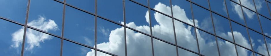 VIU Bird-Window Collision Project